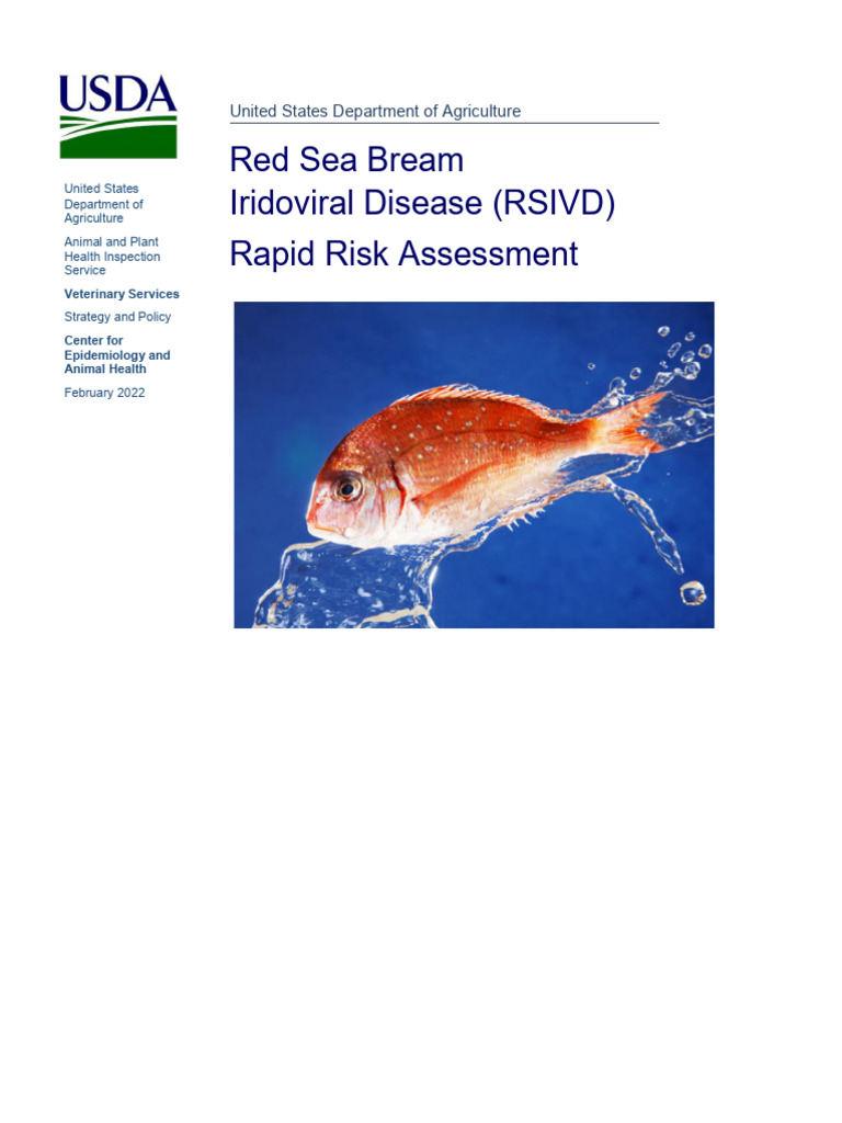 rsiv-rapid-risk-assess | PDF | Health Sciences | Clinical Medicine