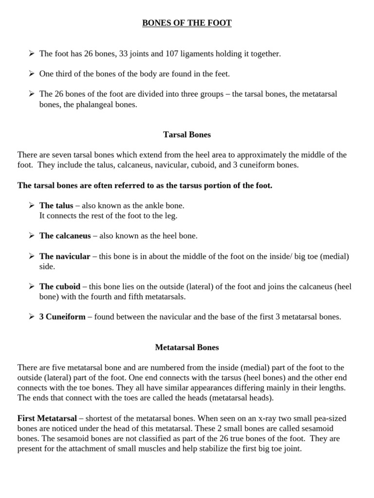 Bones of the Foot Reading | PDF | Foot | Toe