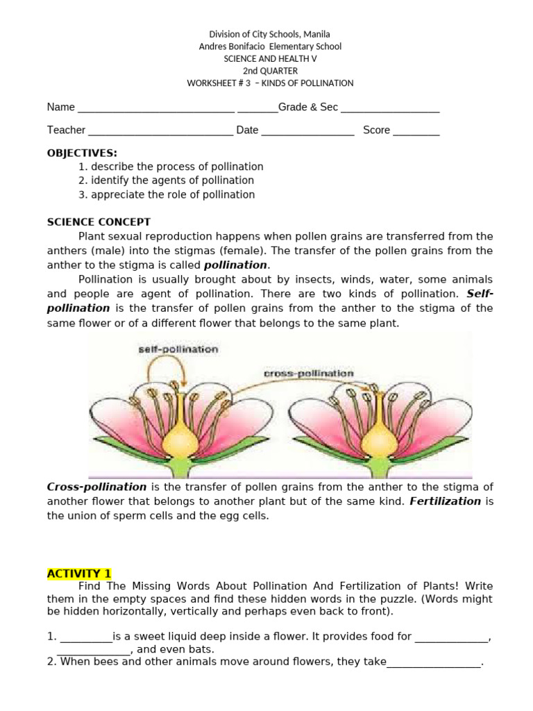 Worksheet Kinds of Pollination | PDF | Flowers | Pollination