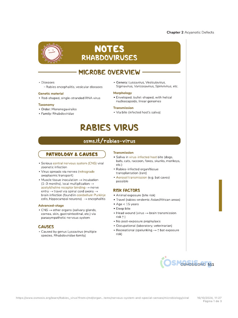 Rabies Virus - Video, Causes, & Meaning - Osmosis | PDF
