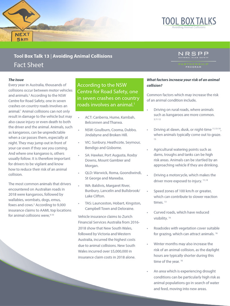 Strategies to Avoid Animal Collisions | PDF | Road Traffic Safety ...