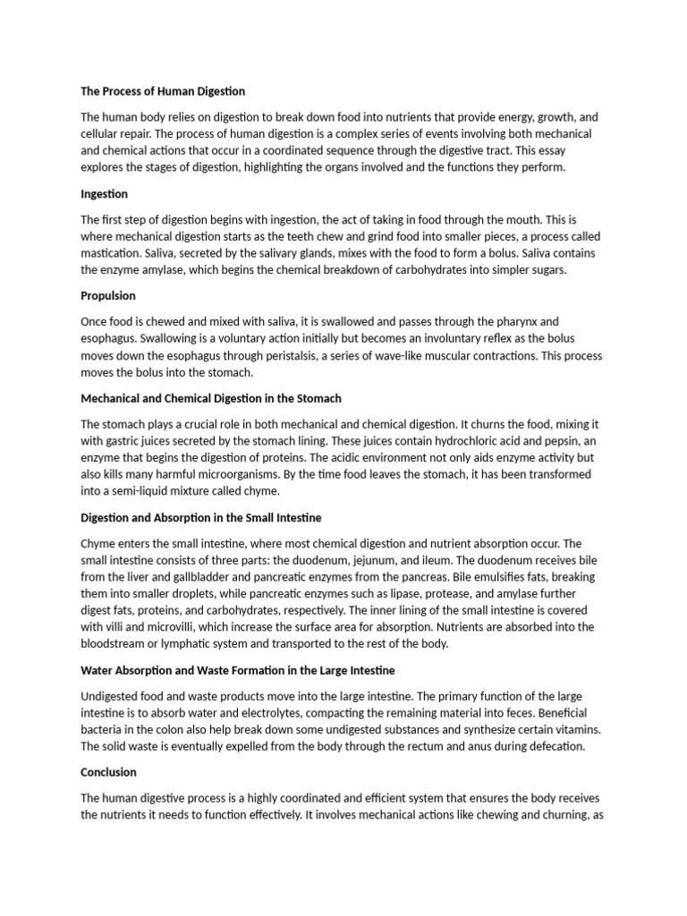 Human Digestion Process Explained | PDF | Digestion | Human Digestive ...