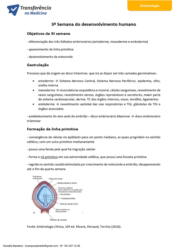 Aula 4 - Terceira Semana Do Desenvolvimento Humano | PDF | Morfologia ...