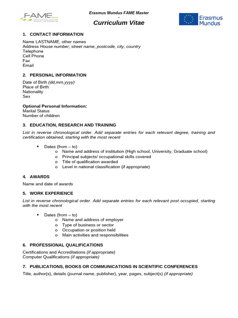 Curriculum Vitae Template 07 | PDF | Academic Degree | Professional ...
