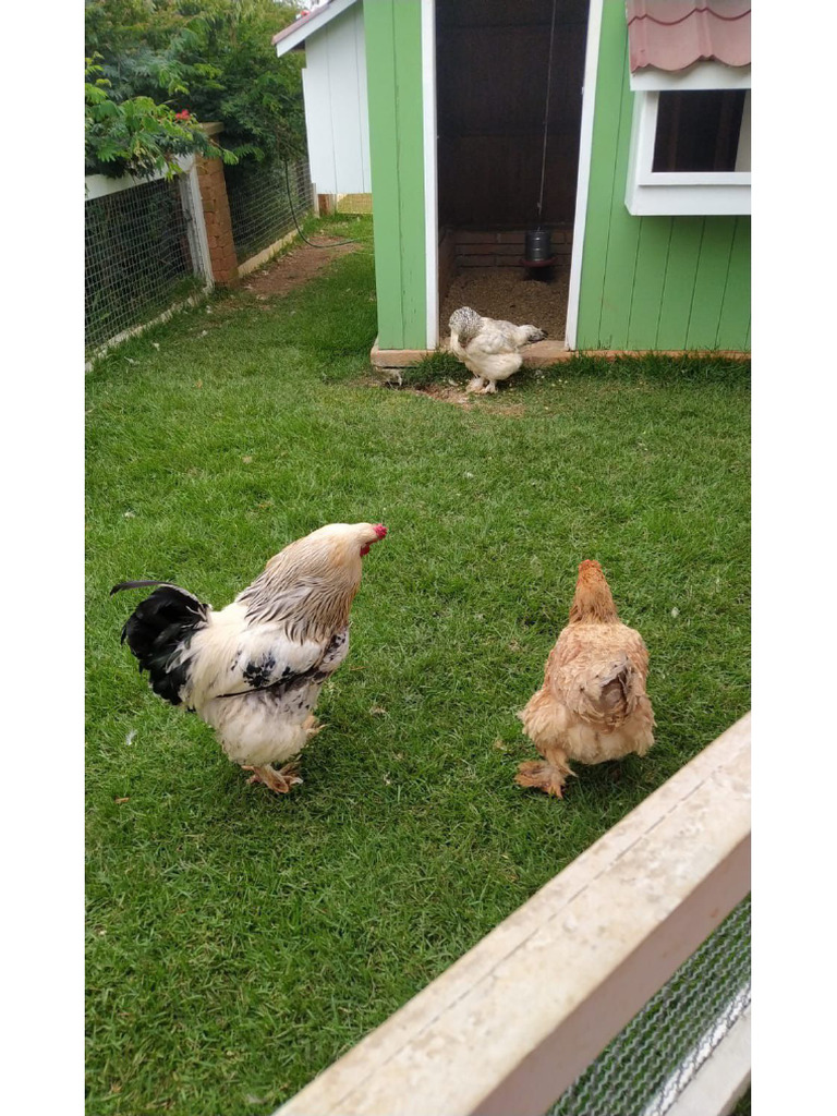 PDFReader 20250118 21409 | PDF