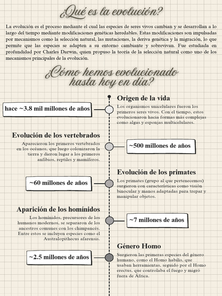 Evolución de las Especies y Humanidad | PDF | Evolución | Homo