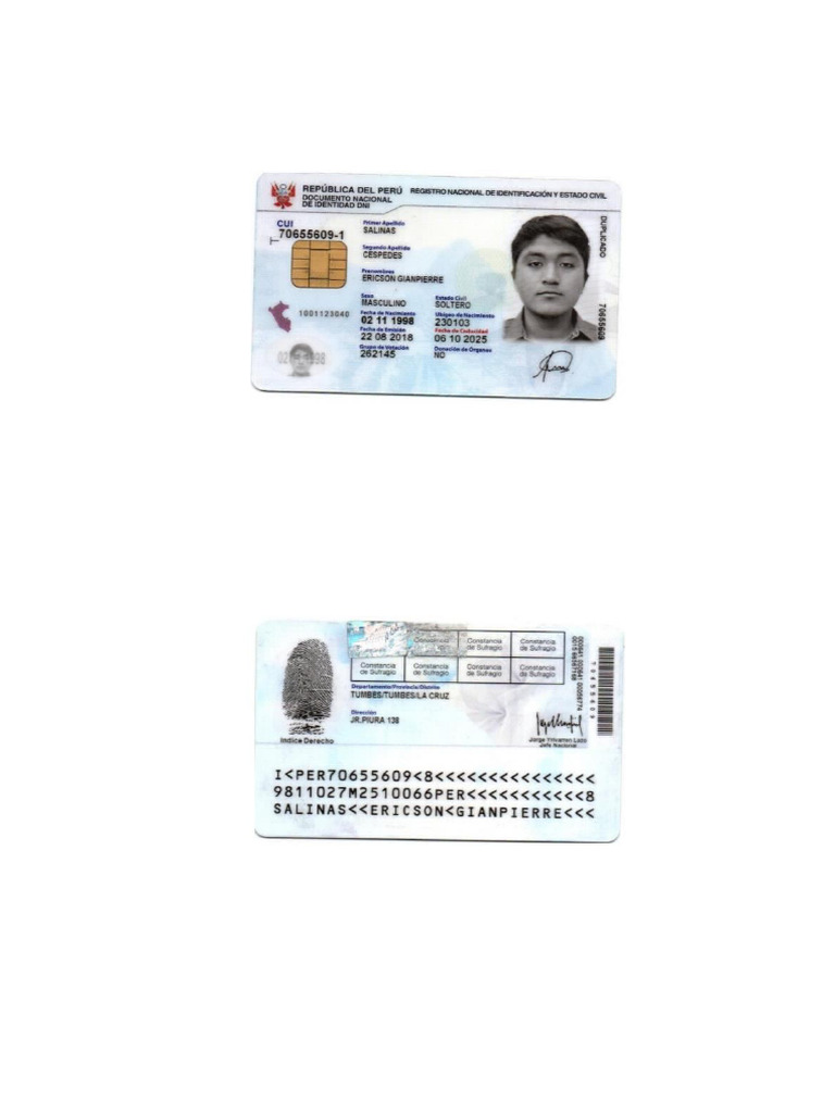 Ilovepdf Merged (1) | PDF | Planificación | Documento de identidad