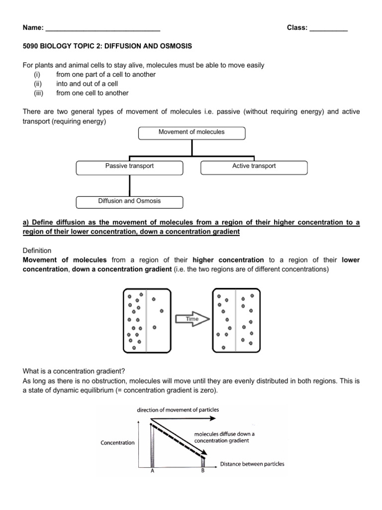 Topic 2 Diffusion and Osmosis | PDF | Osmosis | Diffusion