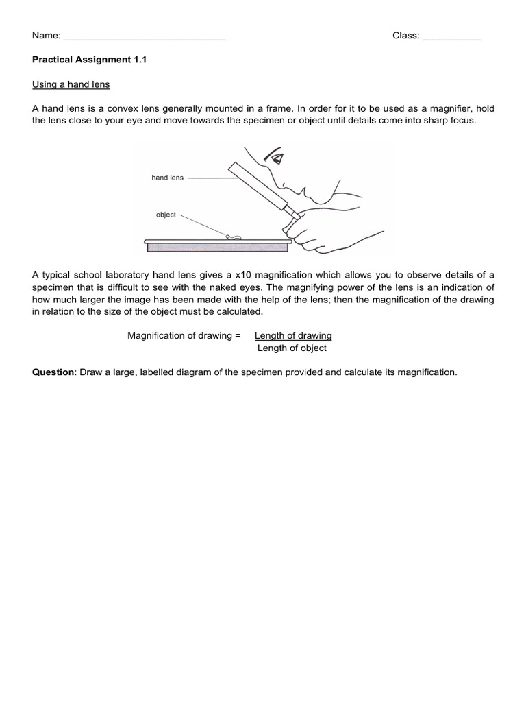 Using Hand Lenses and Microscopes | PDF | Microscope | Electromagnetic ...
