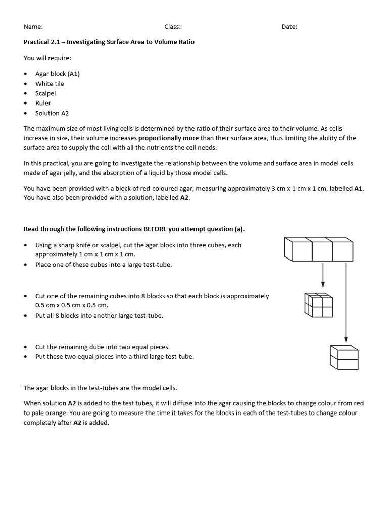 5090 Practical Assignment 3 | PDF | Surface Area | Volume