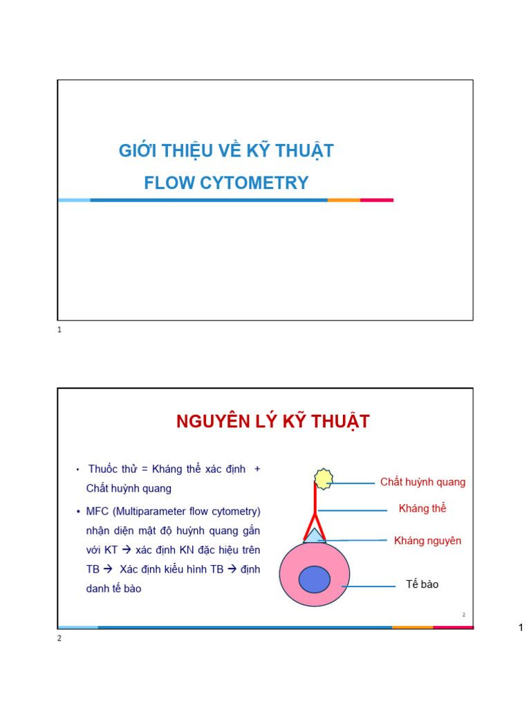 Flow Cytometry | PDF