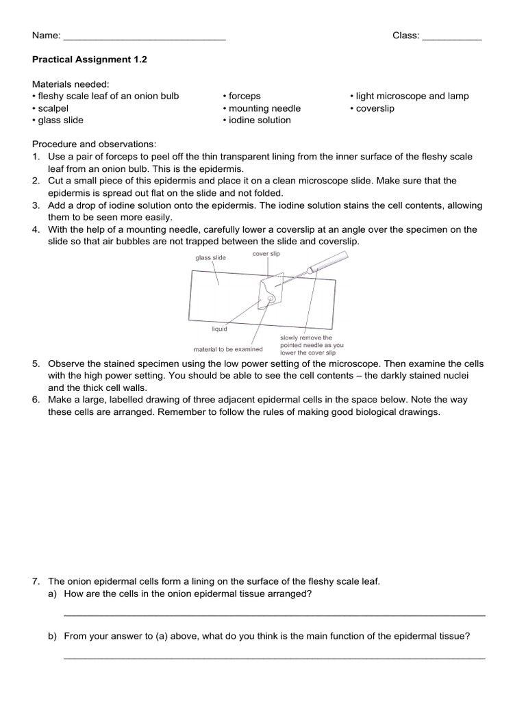 5090 Practical Assignment 9 | PDF