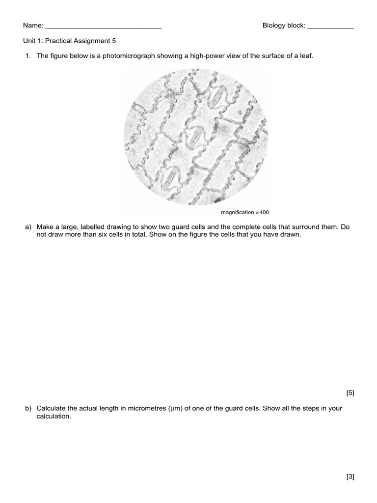9700 Biology Practical Assignment 5 | PDF | Area