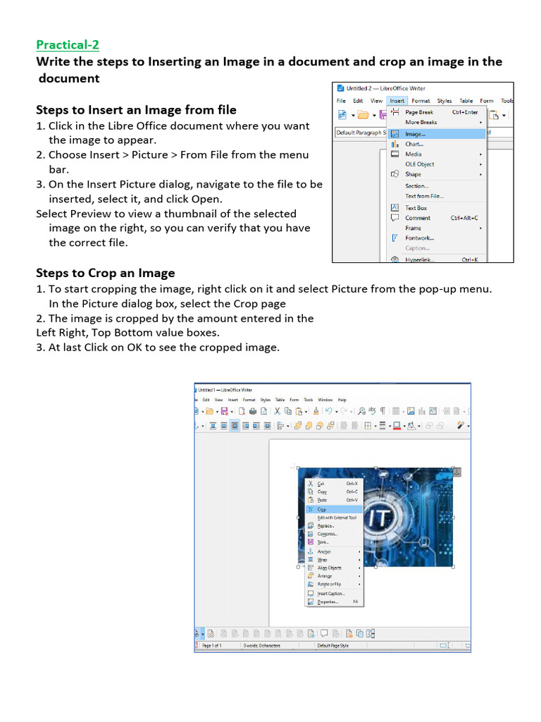Practical-2 - Steps To Insert Image Inserting and Crop | PDF