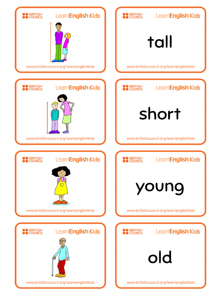 Flashcards Describing Set 1 | PDF