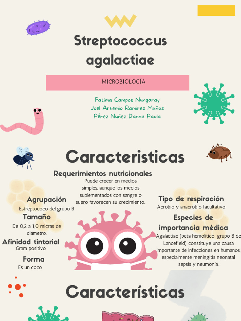 Streptococcus Agalactiae PDF | PDF | Estreptococo | Septicemia