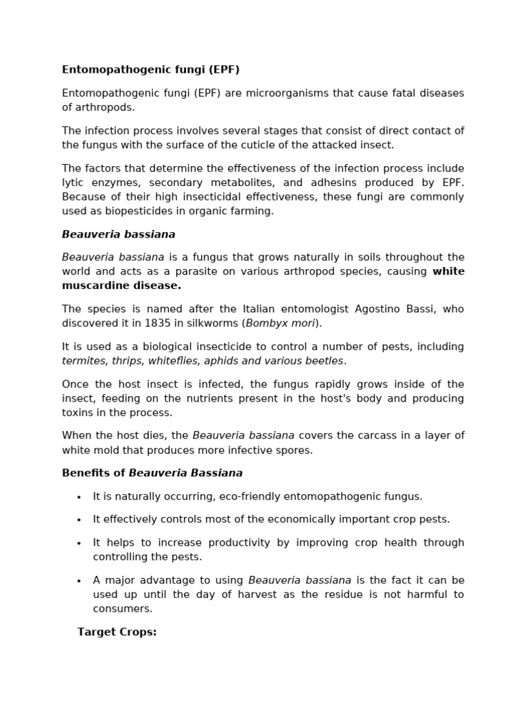 Entomopathogenic fungi | PDF | Agriculture