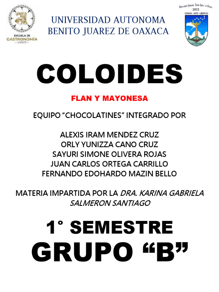 Reporte Practica Coloides | PDF | Emulsión | Mayonesa