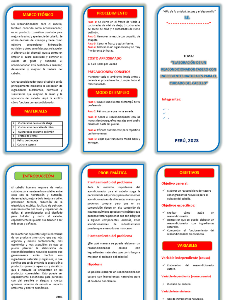 Triptico Proyecto Elaboracion de Reacondicionador Natural Casero para El Cabello | PDF | Champú ...