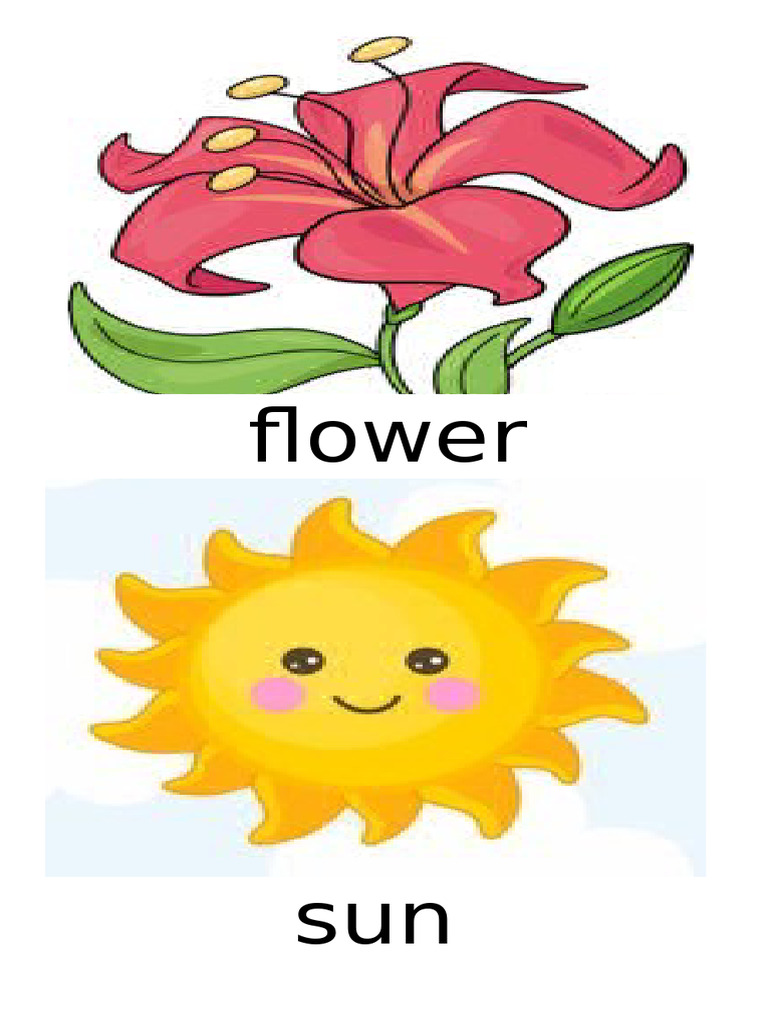 Flower | PDF