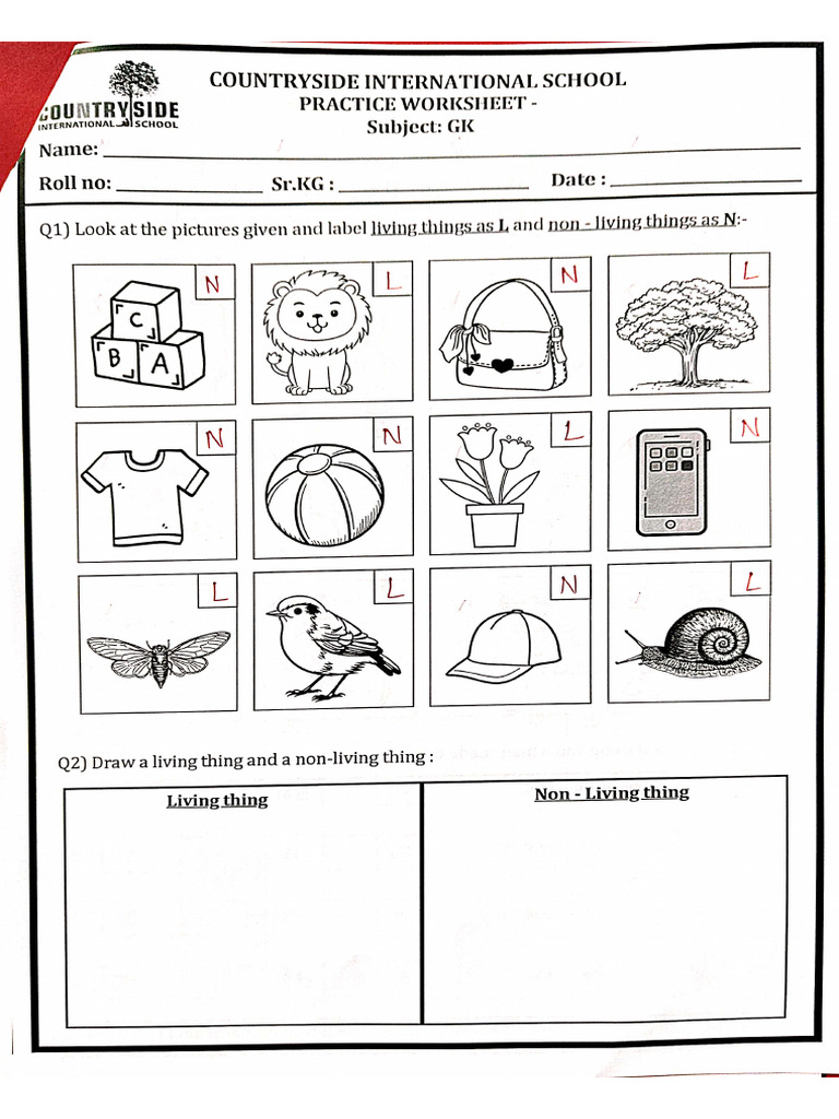 Practice Worksheet On GK | PDF