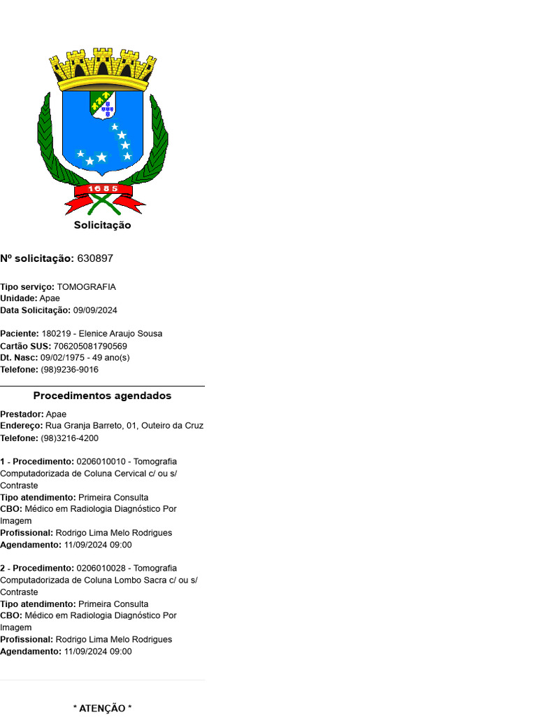 Agendamento de Tomografia para Elenice | PDF