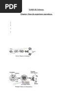 Class 10 - Reproduction | PDF | Reproduction | Sexual Reproduction