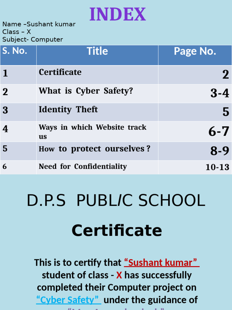 Cyber Safety Project by Sushant Kumar | PDF