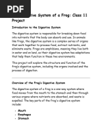Frog Digestive System Dissection Guide | PDF | Gastrointestinal Tract ...