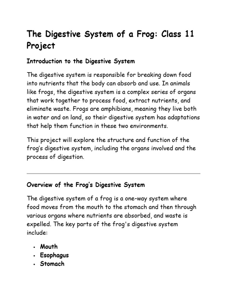 The Digestive System of A Frog | PDF | Digestion | Stomach