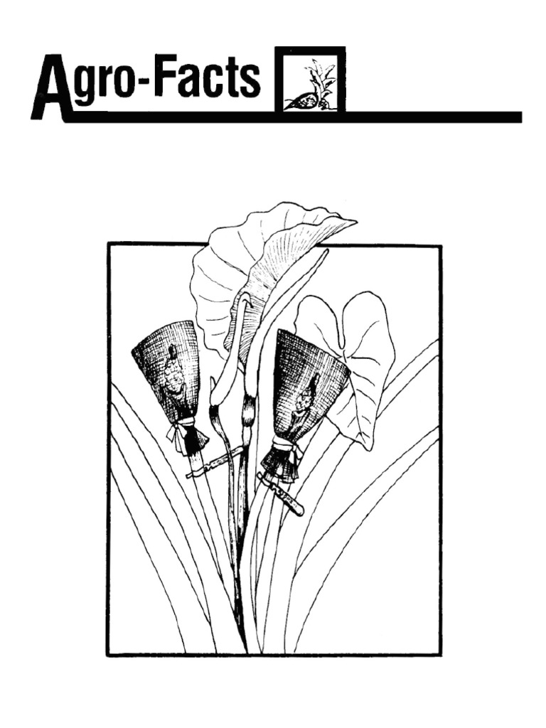 Taro Breeding | PDF | Flowers | Plant Breeding