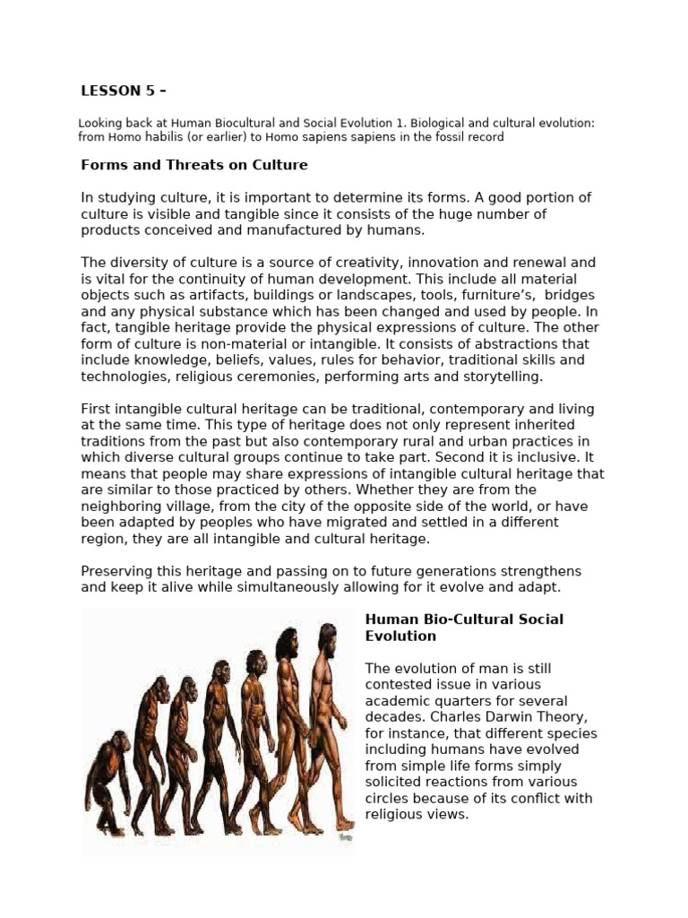 LESSON 5 - | PDF | Human Evolution | Human