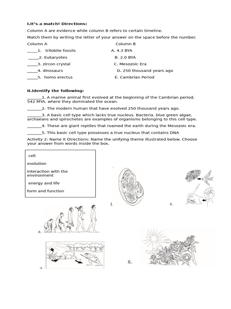 eLS | PDF | Genetic Engineering | Egg