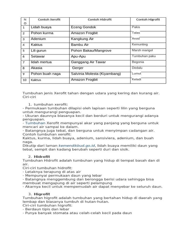 Contoh Tumbuhan Xerofit dan Hidrofit | PDF