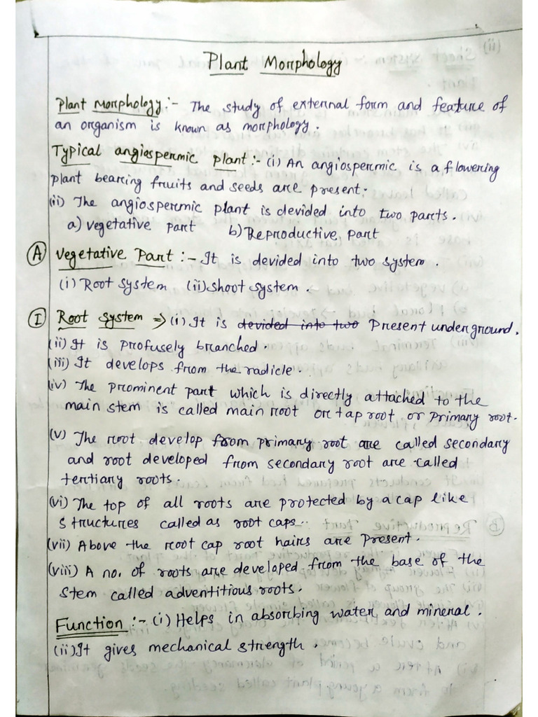 Botany Notes | PDF