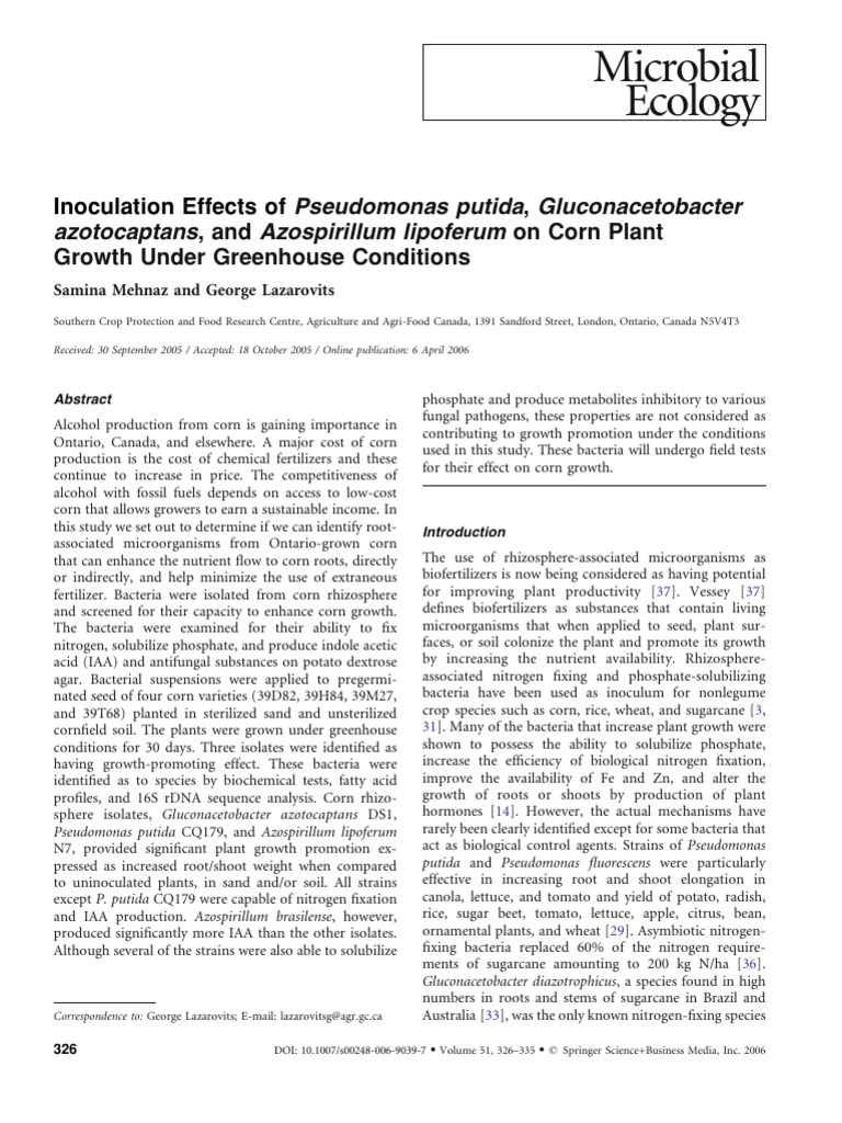 Inoculation Effects of Pseudomonas Putid | PDF | Polymerase Chain ...
