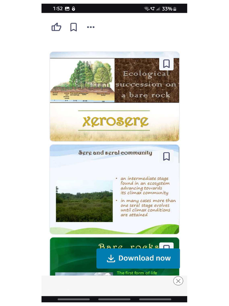 Xero Sere | PDF