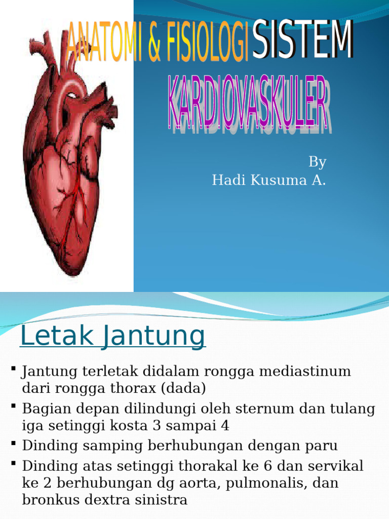 Fisiologi Kardiovaskuler | PDF