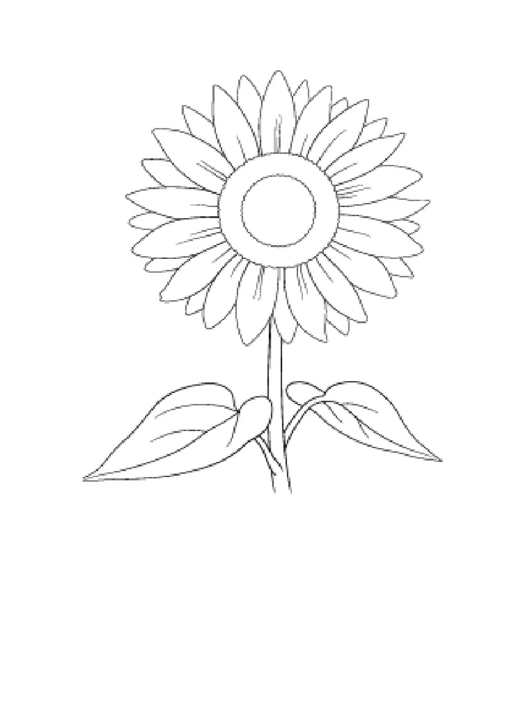 sunflower | PDF