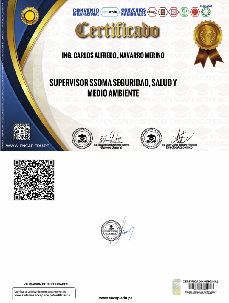 21341-46865912-ING. CARLOS ALFREDO , NAVARRO MERINO | PDF