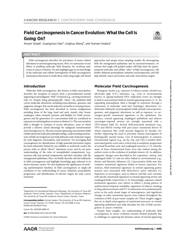Field Carcinogenesis in Cancer Evolution: What The Cell Is Going On ...