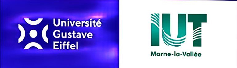 Logo Iut | PDF