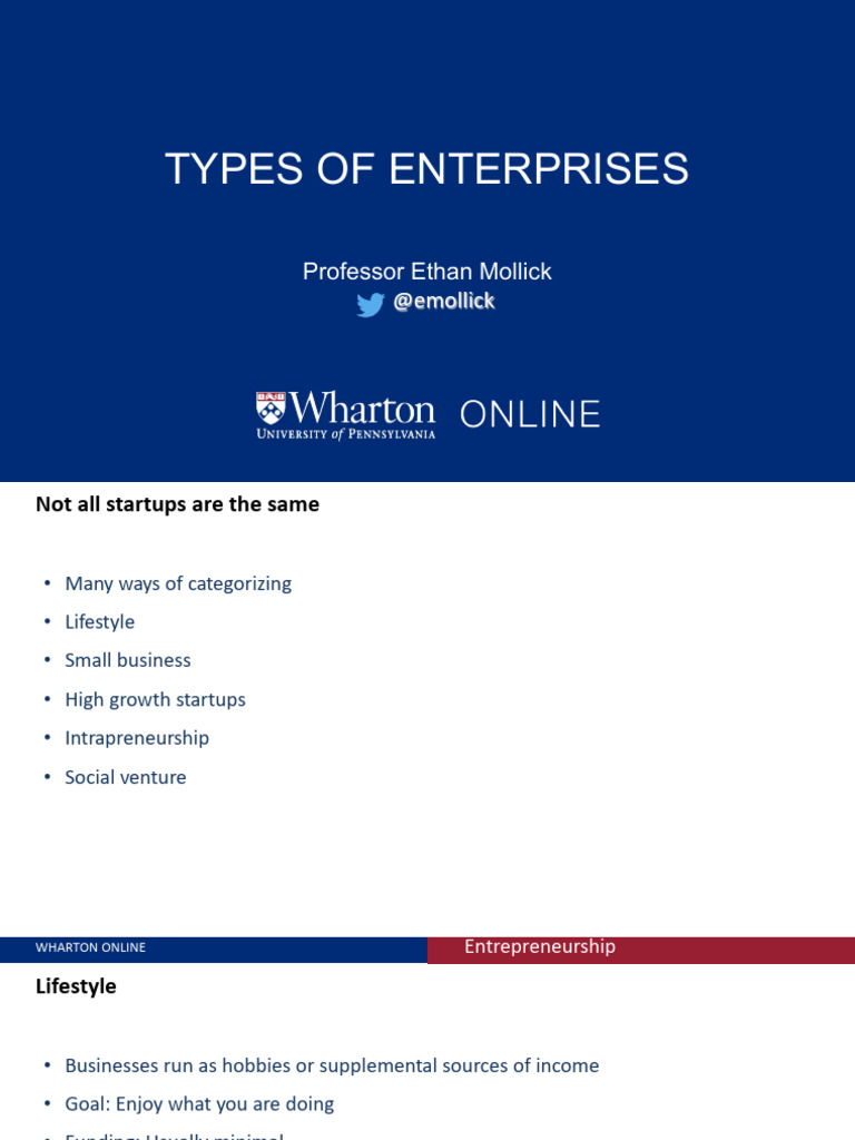 Types of Enterprises in Entrepreneurship | PDF