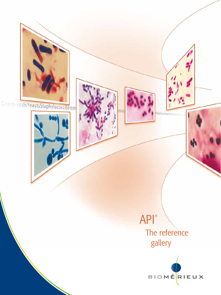 A Pi Gallery | PDF | Bacteria | Infection