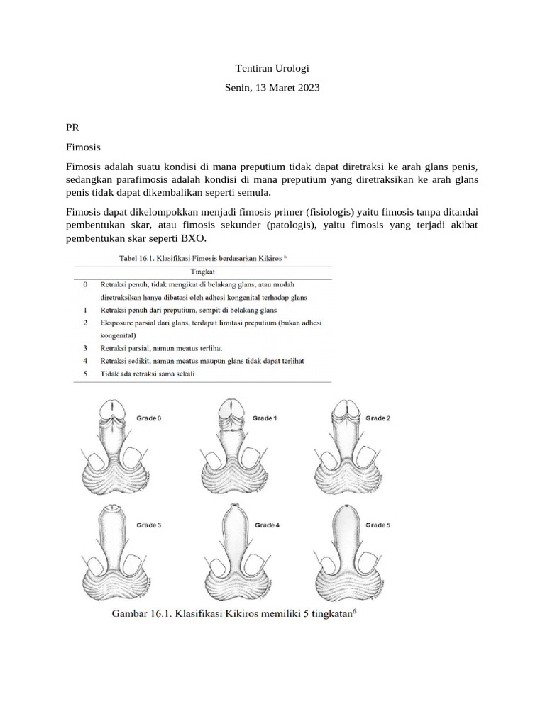 Fimosis dan Parafimosis: Kondisi, Penanganan, dan Komplikasi Urologi | PDF