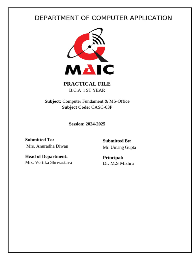 BCA 1st Year Practical File: MS-Office | PDF