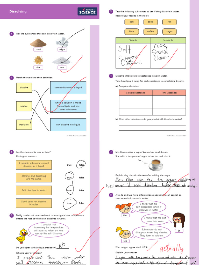 Task 2 - Dissolving | PDF | Solubility | Water