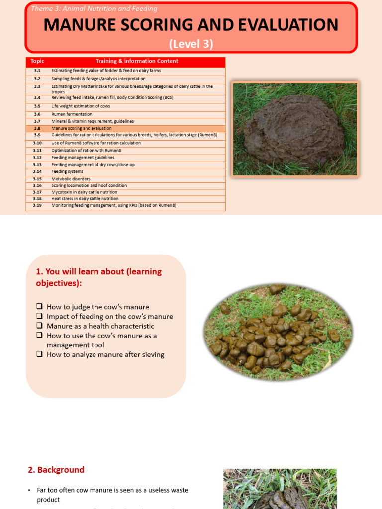 Dairy Farm Manure Evaluation Guide | PDF | Cattle | Dairy Farming