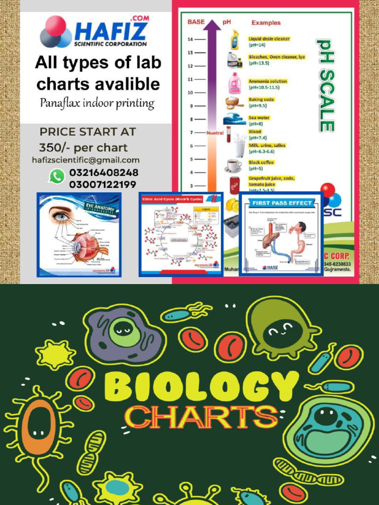 Laboratory Charts Gallry | PDF