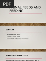 Understanding Concentrate Feeds in Livestock | PDF | Animal Feed | Cereals